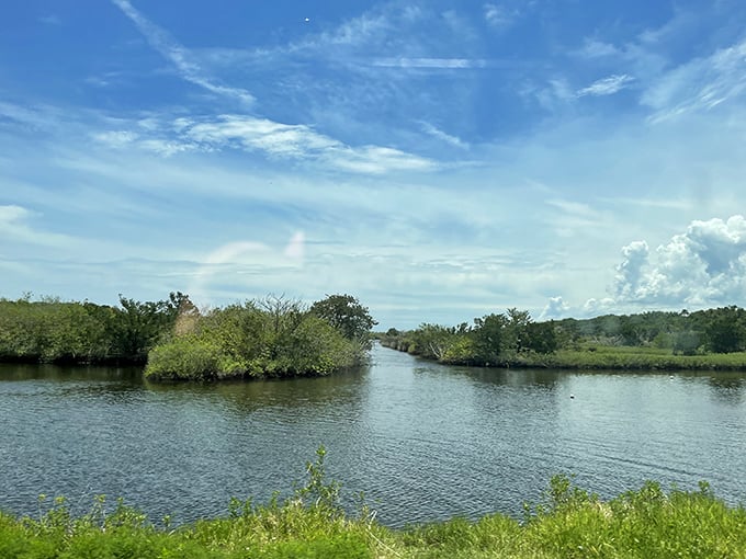 Nature puts on its best Florida showcase here, where mangroves and waterways create the kind of scene that makes snowbirds extend their stay indefinitely.