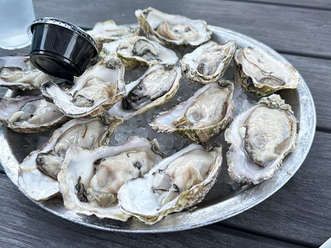 These oysters aren't just seafood—they're little pools of ocean perfection, waiting to slide down your throat with a whisper of brine.