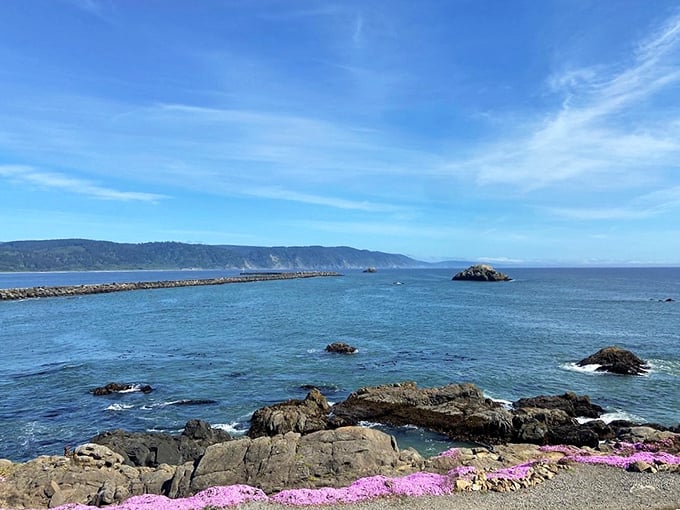 The view that lighthouse keepers watched for centuries—endless blue horizon meeting rocky coastline, unchanged by time or technology.