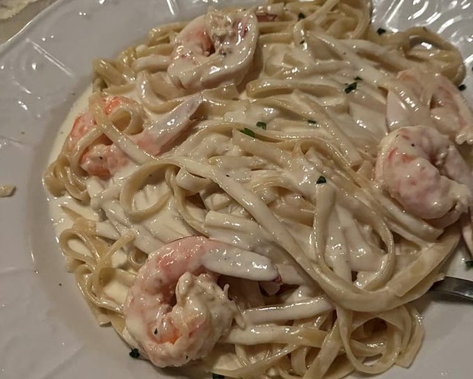 Fettuccine Alfredo with plump shrimp – where cream, butter, and pasta perform the kind of harmonious trio that would make The Three Tenors jealous. 