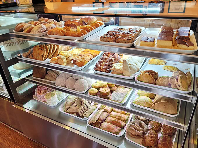 The display case at La Mascota isn't just filled with pastries—it's filled with possibilities. Each tray offers a different path to carbohydrate nirvana.