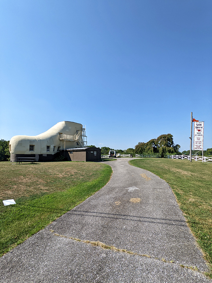 The path to extraordinary experiences often starts with ordinary concrete. This walkway has guided thousands of curious visitors toward footwear-shaped enlightenment.