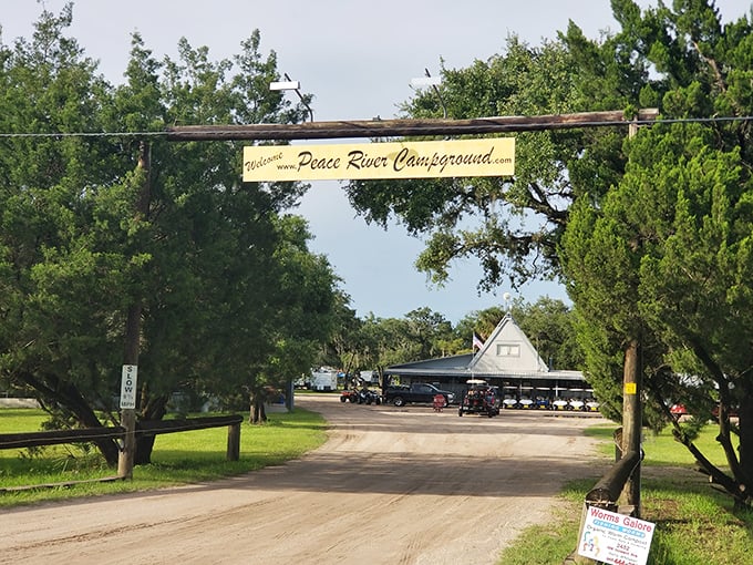 "Welcome to Peace River Campground" – six words that promise adventure by day and stargazing by night.