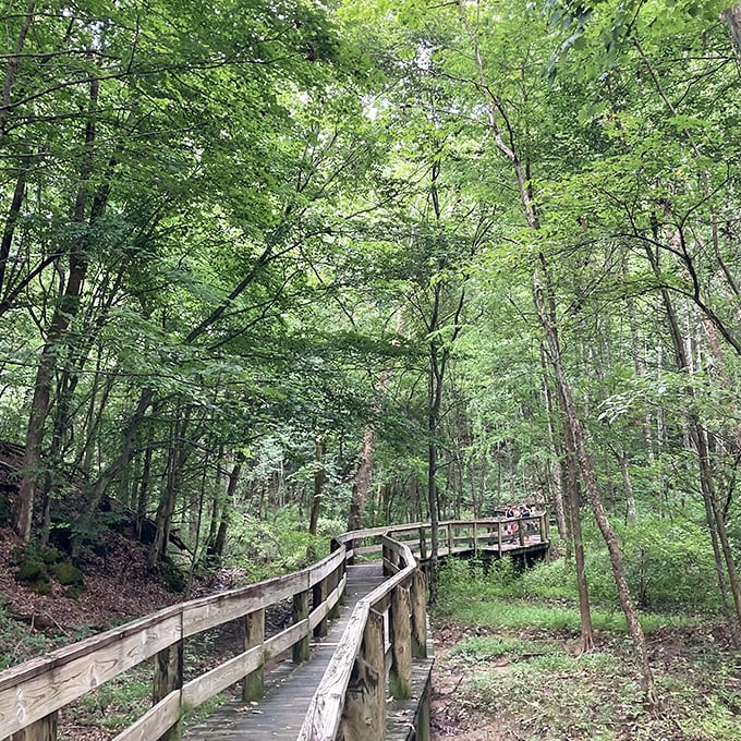 Nature's therapy session doesn't require insurance approval. This wooden walkway through Persimmon Ridge Park invites contemplation at your own pace.