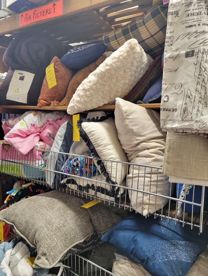 Pillow paradise for the comfort connoisseur. Transform your couch from "meh" to magnificent without the designer price tag.