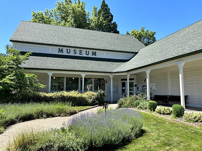 The Plumas County Museum doesn't just preserve history—it tells stories with the kind of character Hollywood tries desperately to recreate but never quite captures.