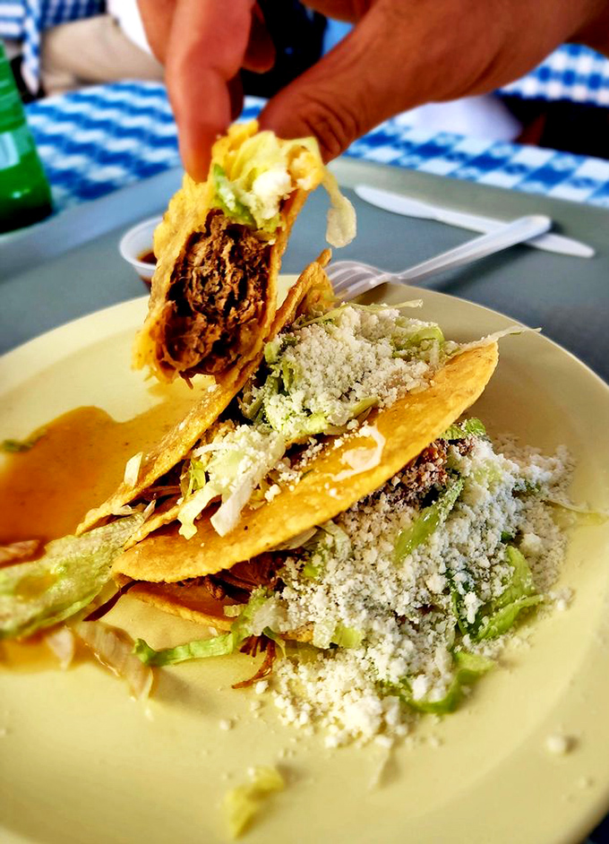 Tacos so authentic they could run for office in Mexico. The hand-pressed tortillas cradle perfectly seasoned meat like it's precious cargo—because it is.