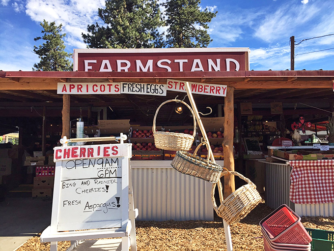 A farmstand that makes supermarket produce sections look like sad imposters. Those handwritten signs aren't quaint marketing—they're genuine farmer-to-table communication.