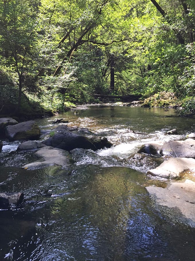 Lagunitas Creek's crystal waters offer nature's own meditation app—complete with surround sound bubbling and none of those subscription fees.