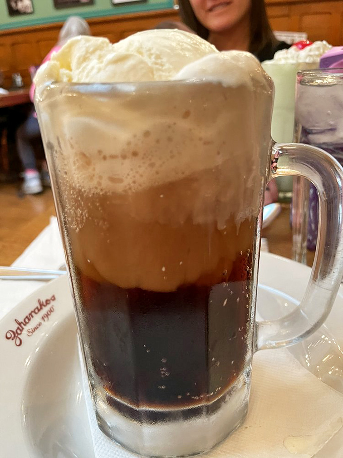 The root beer float arrives like a science experiment gone deliciously right – dark soda bubbling around islands of vanilla ice cream in a frosty mug.