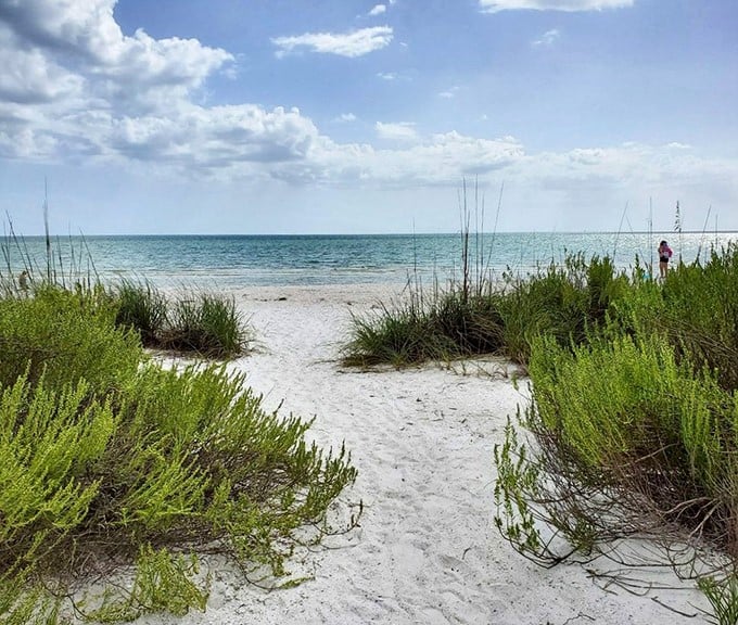 Nature's velvet rope entrance to the Gulf. These dunes aren't just pretty—they're the beach's first line of defense against storms.