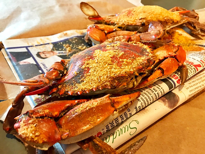 Spice-crusted crabs lounging on newspaper—the quintessential Maryland experience transplanted to Pennsylvania soil. Some traditions travel beautifully.