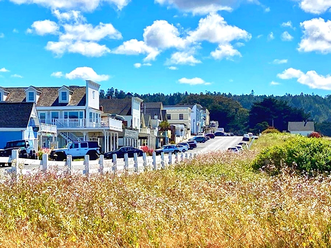 Mendocino's main street looks like it was designed specifically for people who collect small-town postcards and use the word "quaint" unironically.
