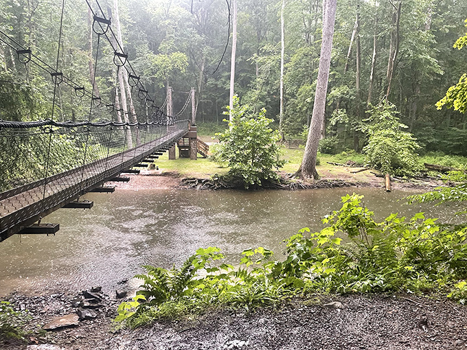 The suspension bridge sways ever so slightly underfoot, adding a dash of adventure to your forest crossing—nature's way of saying "stay present."