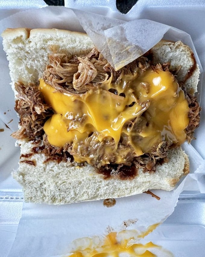 "The Big Pig" lives up to its name—pulled pork wearing a melted cheese hat. It's the sandwich equivalent of a warm embrace.