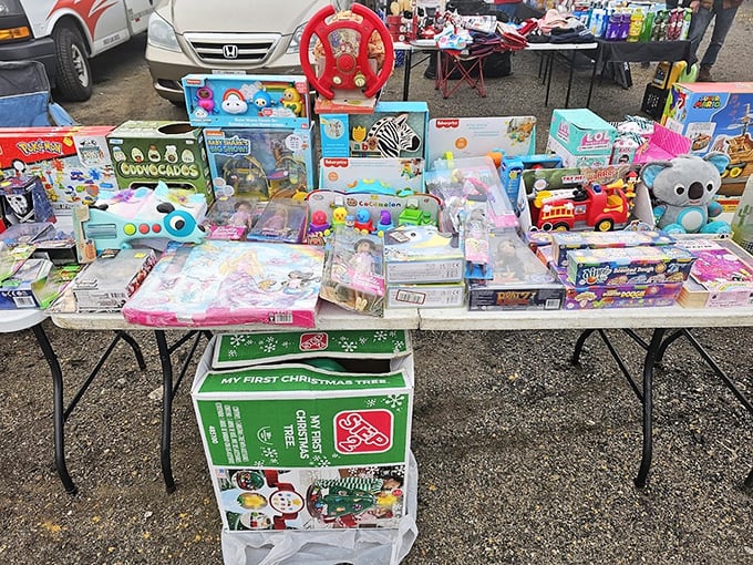 Childhood joy sold by the tableful. From Pokémon to plush koalas, these toys await their second chance to create memories.