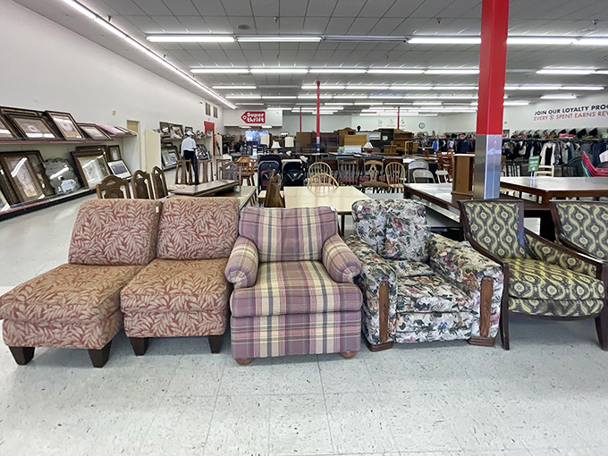 The couch collection showcases patterns that tell tales of decades past—from subtle plaids to bold florals.