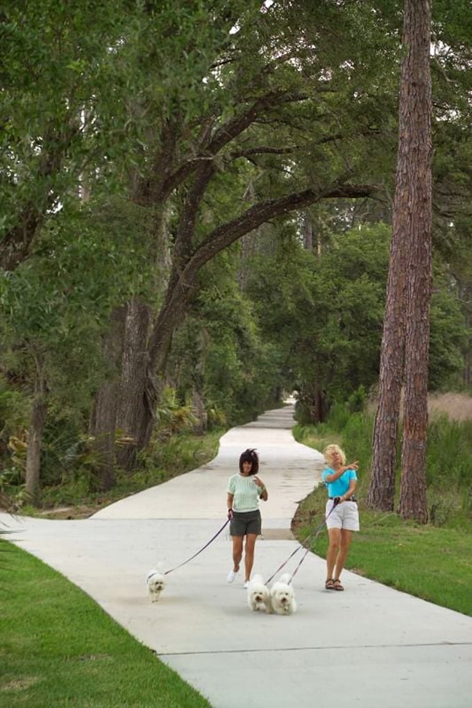 Two locals stroll the tree-lined walking path with their four-legged companions—proof that la dolce vita includes daily dog walks.