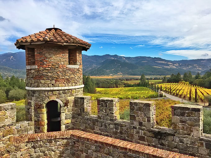 From this tower perch, vineyard views stretch to the horizon. Medieval lookouts never had it this good—they were too busy watching for invaders.