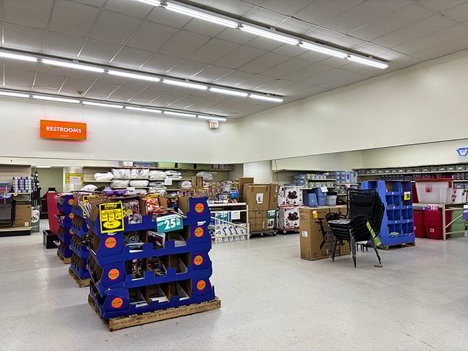 The clearance section – retail's version of a treasure chest where patience and persistence can transform your home for pennies on the dollar.