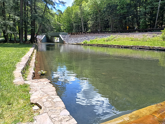 Stone bridge meets emerald waters in perfect harmony. Engineers and Mother Nature rarely collaborate this beautifully – it's infrastructure as art.