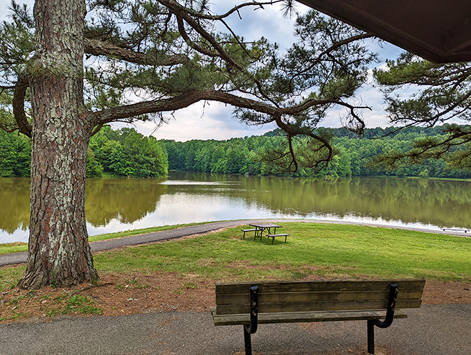 The perfect lunch spot doesn't exi— Oh wait, here it is, complete with million-dollar views that won't cost you a penny.
