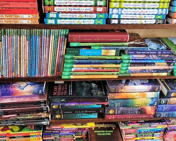 Literary treasures stacked floor to ceiling—from Percy Jackson to vintage classics. Proof that before Netflix binges, people binged on book series.