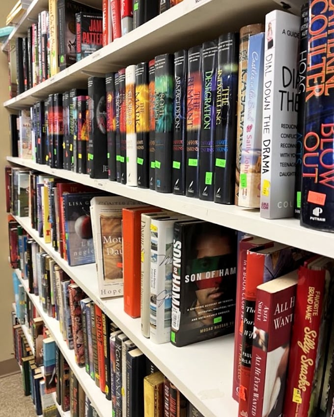 Literary treasures lined up like soldiers. Someone's favorite book is about to become yours at a fraction of the cost.
