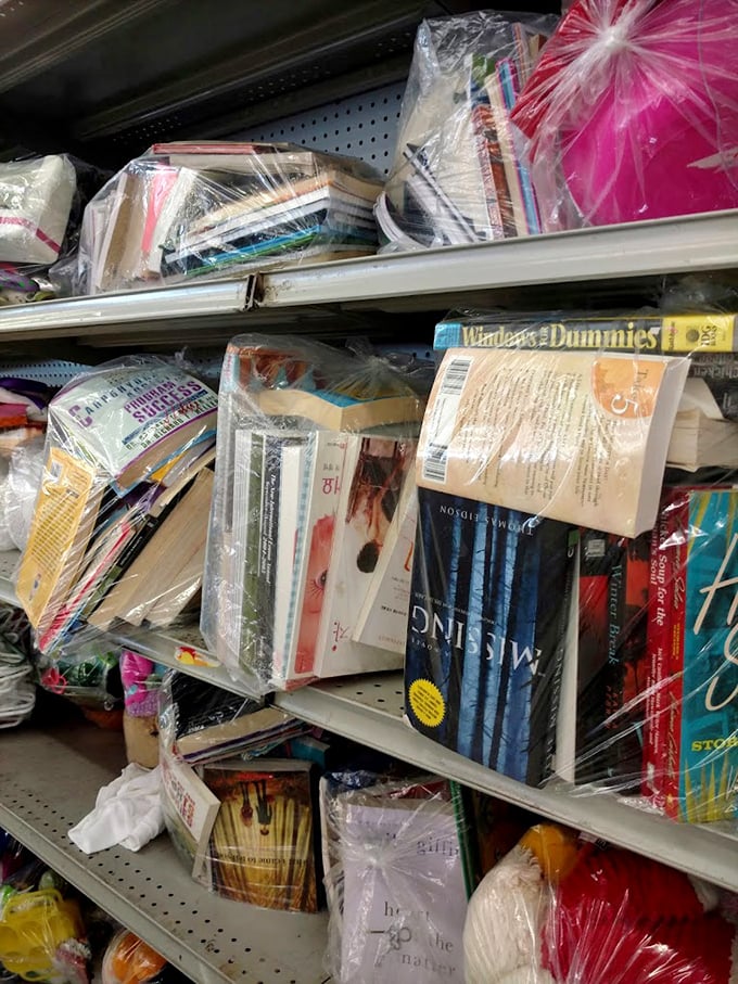Books wrapped like precious gifts, waiting for curious minds to unwrap their stories. That "Windows for Dummies" might finally explain why your computer keeps freezing.