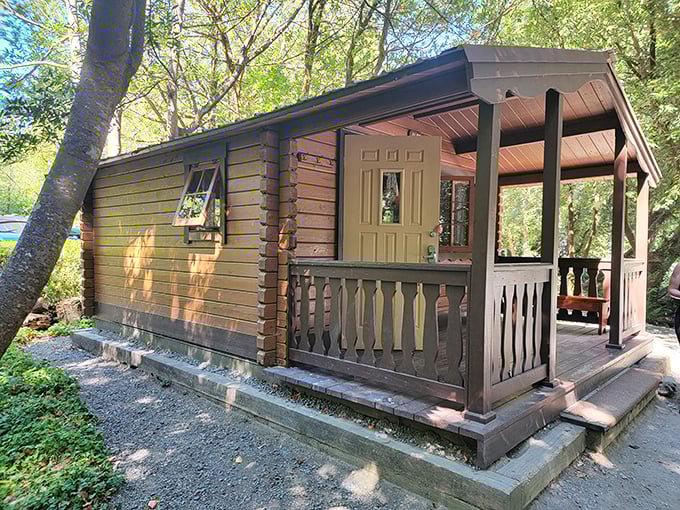 Cabin life at its finest—where rustic charm meets actual comfort. This isn't roughing it; it's smoothing it with a roof and walls.