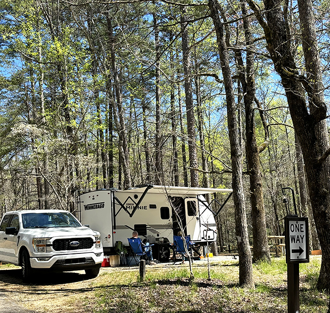 Camping with conveniences – where wilderness meets comfort. This RV spot offers the perfect compromise for nature lovers who still appreciate indoor plumbing.