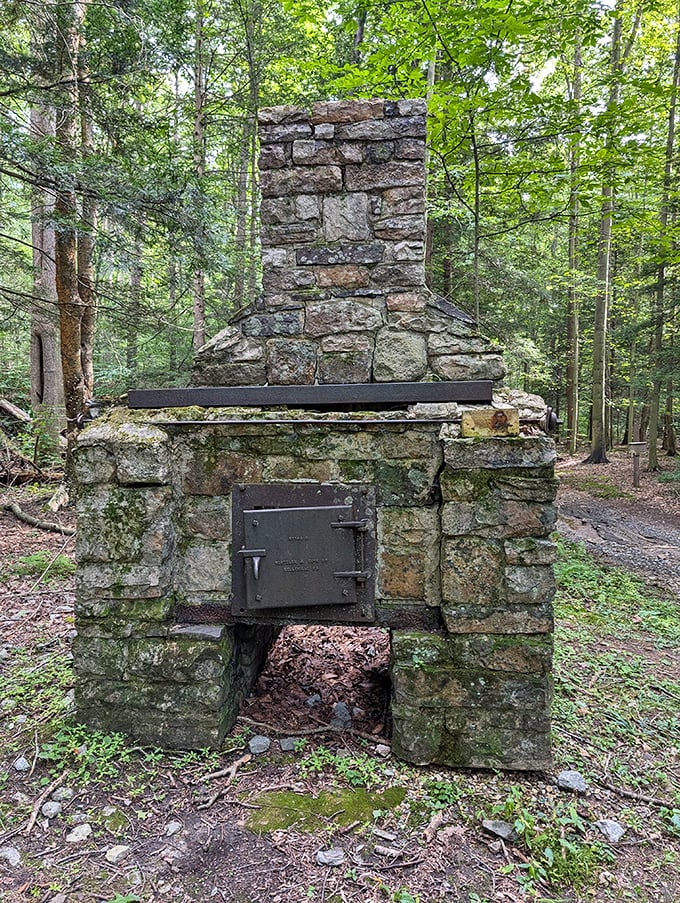 History stands sentinel in stone—a rustic fireplace from another era. Silent storyteller of meals cooked and tales shared by long-departed forest dwellers.