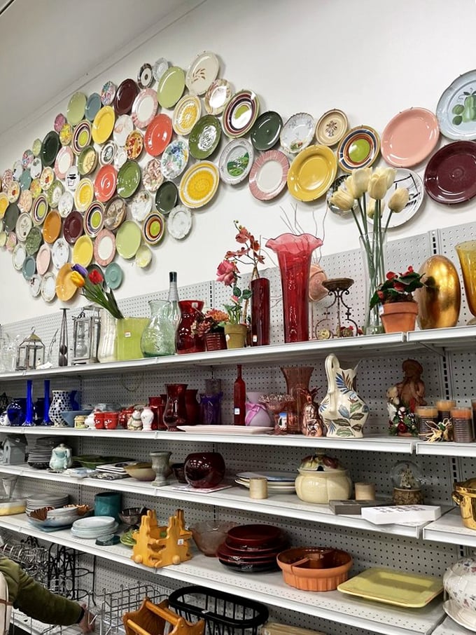 The plate wall installation transforms everyday dishware into a stunning artistic statement, proving one person's discard is another's décor inspiration.
