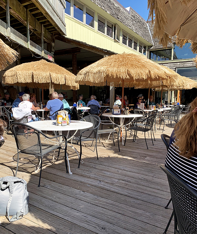 Tiki umbrellas, sunshine, and the gentle lapping of water—this is Michigan's answer to the Caribbean, just with sweeter cherries and zero humidity.