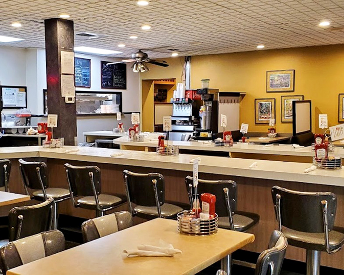 The counter at The Echo – where strangers become neighbors and calories don't count if you're solving the world's problems. 