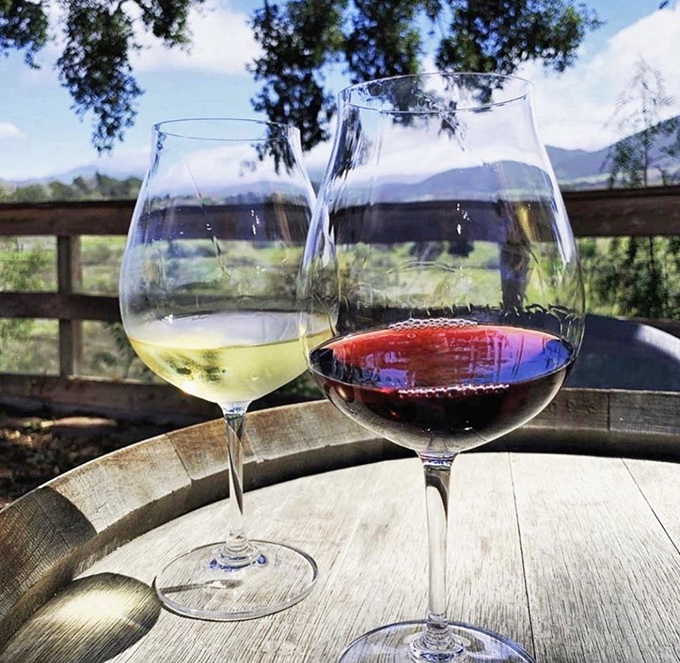 Wine country views frame perfectly paired glasses—red for beef, white for everything else, joy for absolutely everyone.