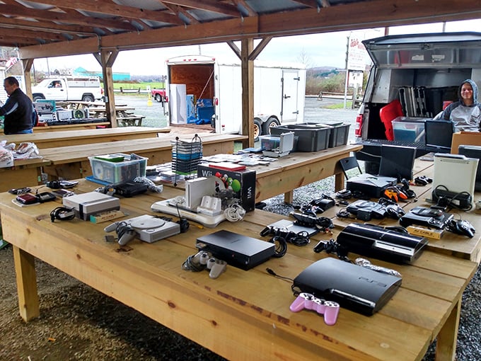 Gaming history laid bare—from Atari to PlayStation, these electronic time capsules await collectors who remember blowing into cartridges to make them work.