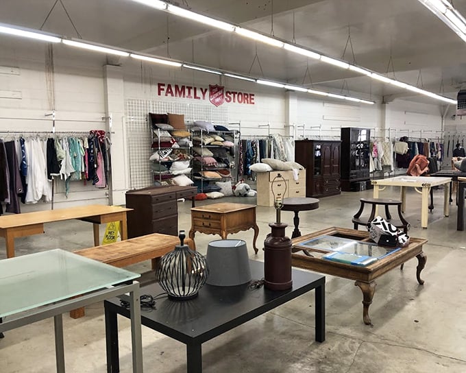 Furniture with stories to tell—each piece waiting for its next chapter in someone's living room, bedroom, or quirky home office.