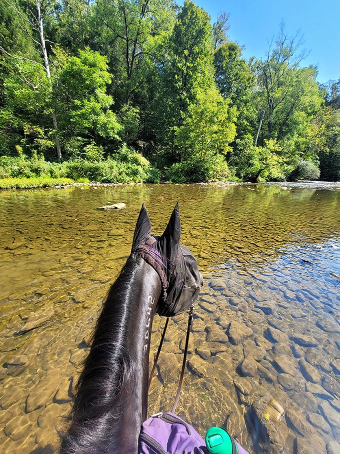 Horseback riding through these trails makes you feel like John Wayne, minus the swagger and spurs.