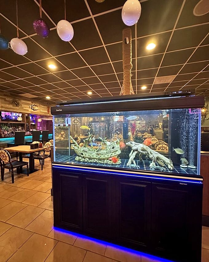 The impressive aquarium adds underwater ambiance to your meal. Fish watching you eat fish—there's a certain poetry there.