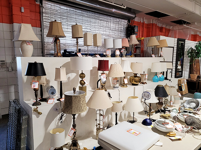 Lamp heaven or design intervention? Either way, this wall of illumination offers more character than most lighting departments have in their entire inventory.