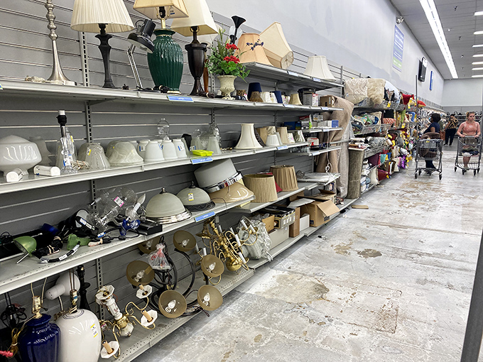 Lamps and fixtures galore – because good lighting makes even thrift store finds look like million bucks.