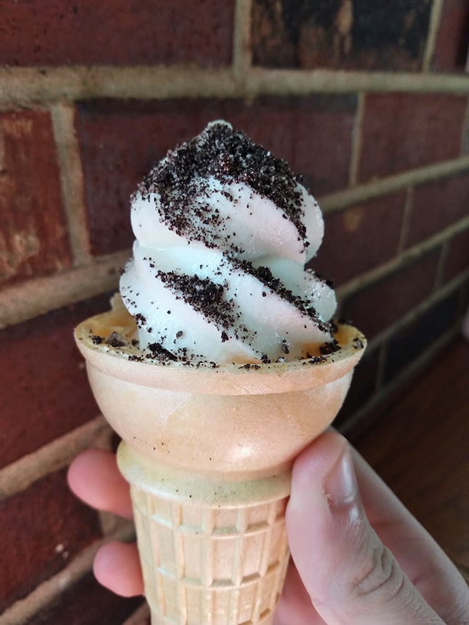 Oreo ice cream that brings back childhood memories while creating new ones worth savoring slowly.