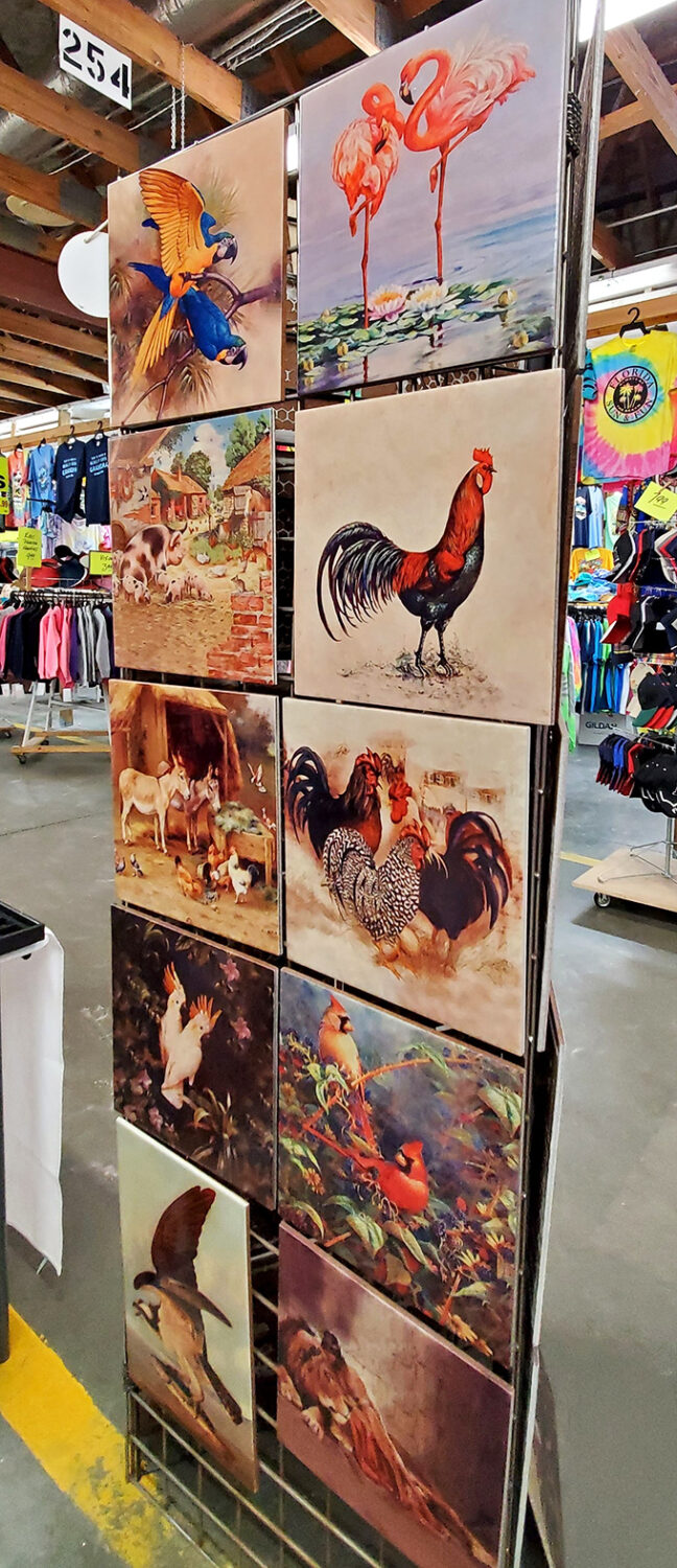 Florida's wildlife comes alive in vibrant paintings. That rooster has more attitude than most bouncers I've encountered at South Beach nightclubs.