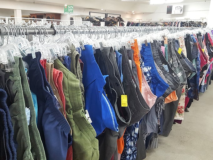 The Great Wall of Pants! Every shade of blue, black, and beyond—hanging like a textile rainbow waiting to complete someone's wardrobe.