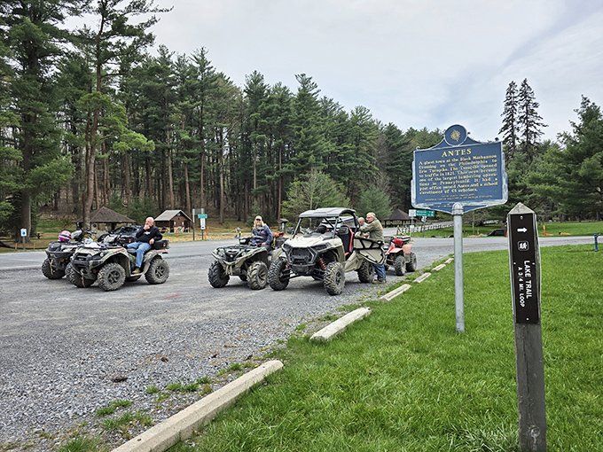 ATVs lined up like eager puppies waiting for a walk—except these puppies have engines and don't require pooper scoopers.