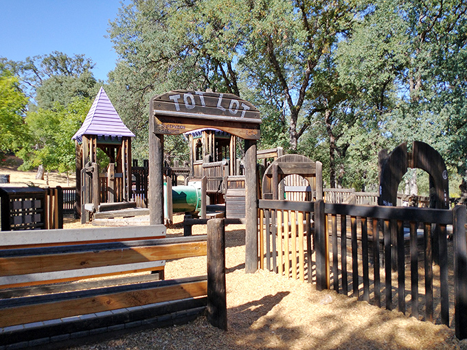 Tot Lot playground – where Gold Country kids have been burning off energy and building memories since before iPads were even a twinkle in Steve Jobs' eye.