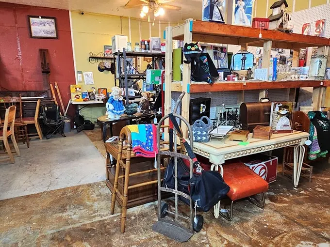 Organized chaos that rewards patient explorers. That wooden chair might have been crafted when "handmade" wasn't yet a premium selling point.