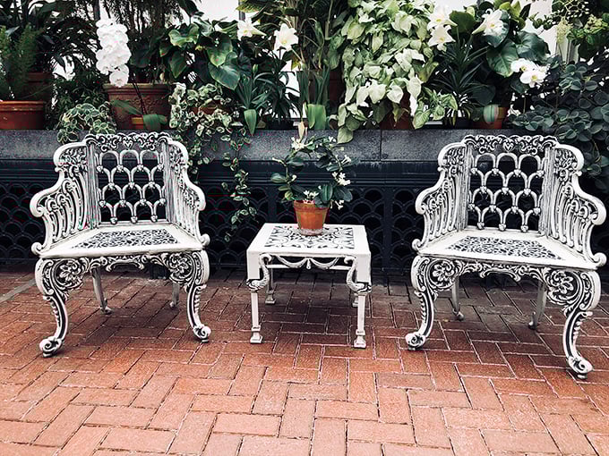 These ornate white garden chairs aren't just seating—they're thrones for plant royalty. Take a moment to rest like Victorian nobility contemplating their next witty remark.