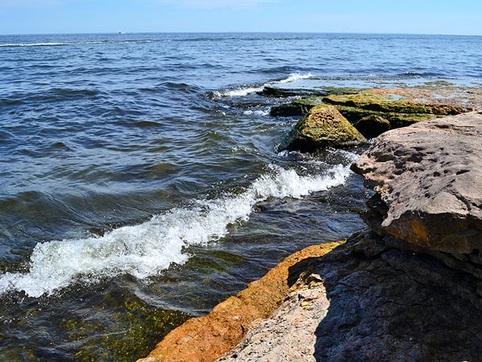 The rocky shoreline holds treasures like beach glass and fossils – nature's own vintage collectibles shop.